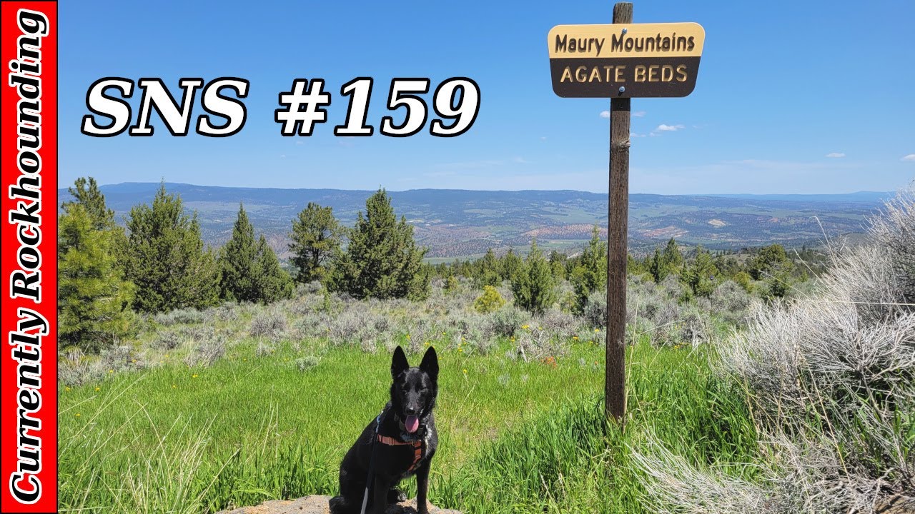 SNS #159: Moss Agate, Dyeing Gem & Ephemera - YouTube