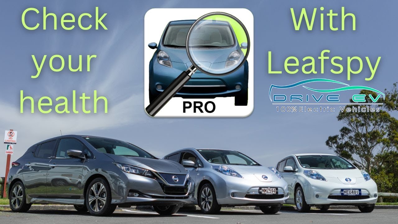 How to check your Leafs State of Health using LeafSpy - YouTube