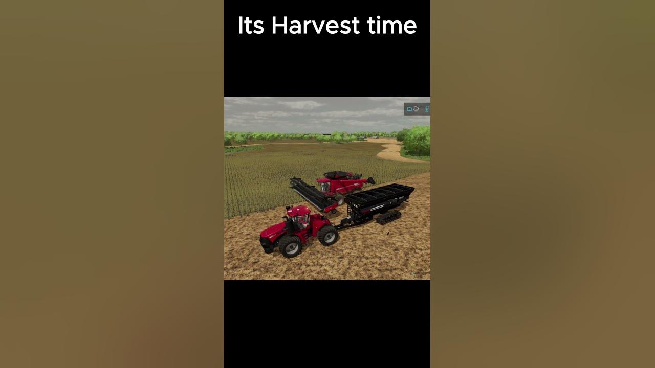 #Its Harvest time - YouTube