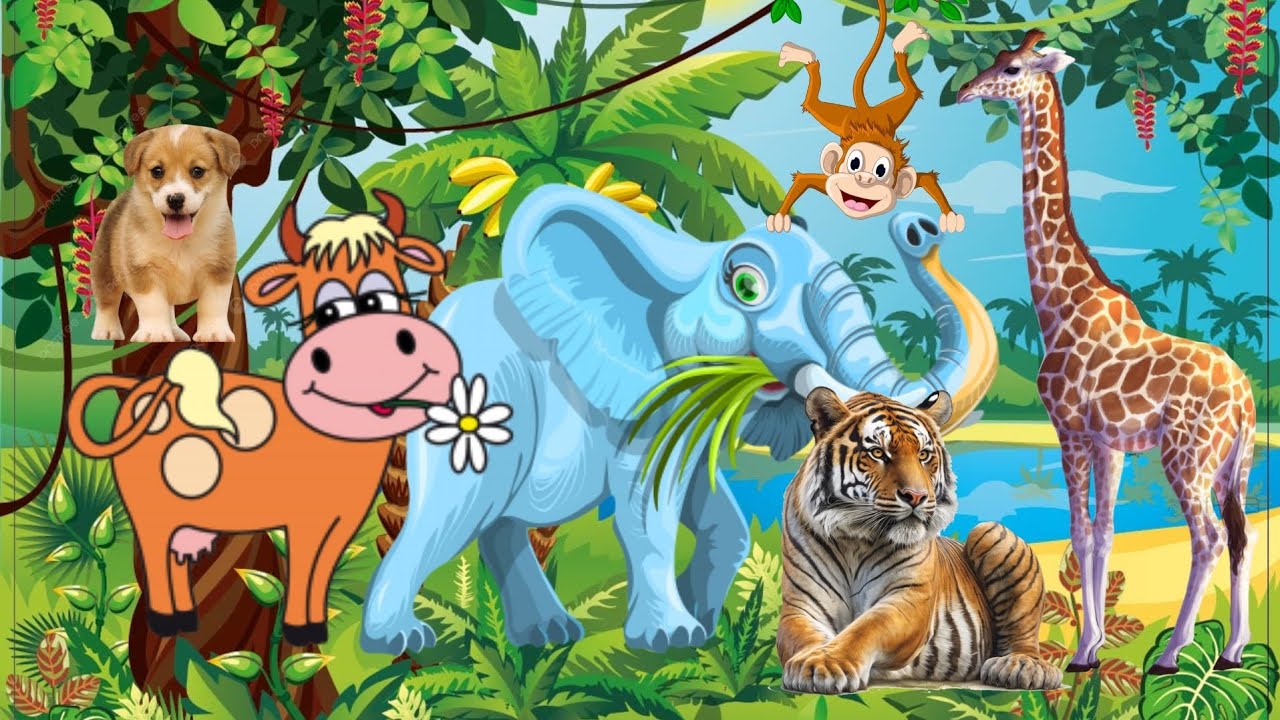 Soothing Animal Videos and moments : Leopard, Fox, Lemur, Animal ...