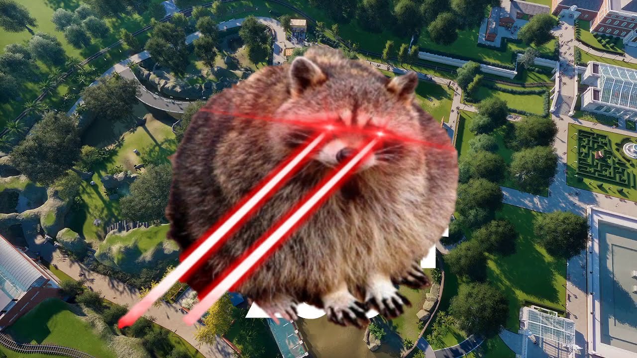 Planet Zoo - Everything you have to know about raccoons - YouTube