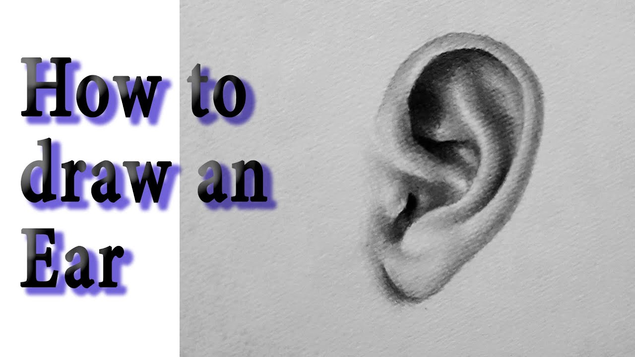 How to draw an ear|Ear tutorial - YouTube
