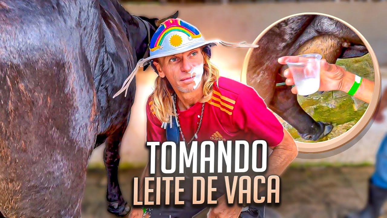 FALA FINA TOMANDO LEITE DIRETO DA VACA 🤣 | FALA FINA - YouTube