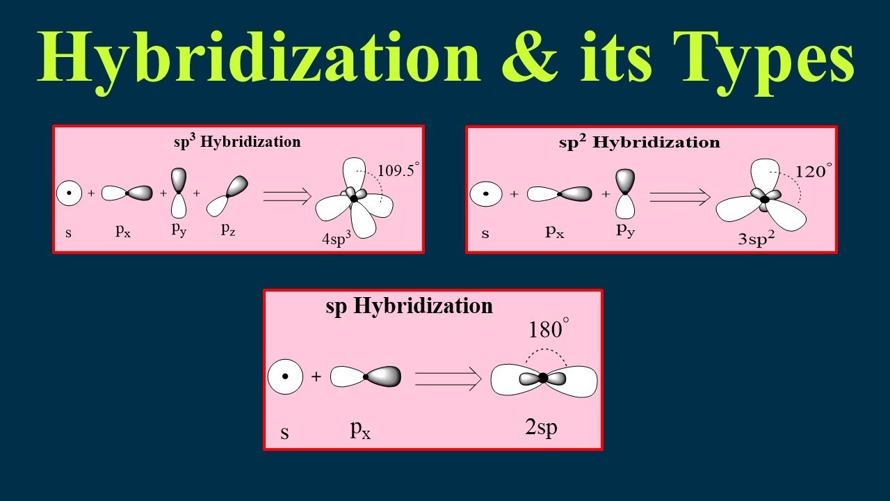 Hybridization and its Types | Examples with Trick - YouTube