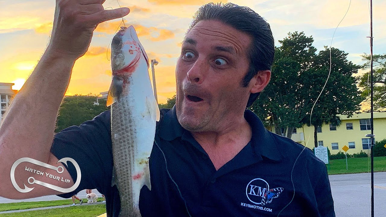 Catching GIANT Mullet on Rod and Reel - Pandemic Fishing Report Part 2 ...