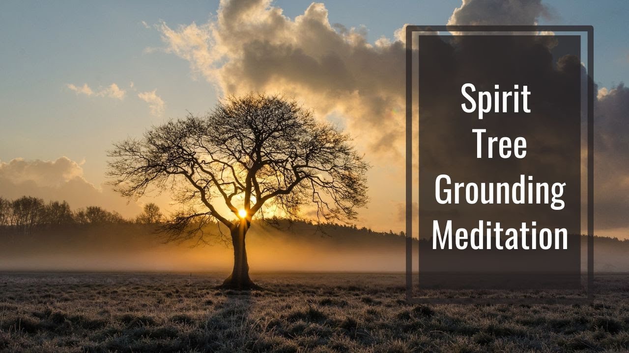 Spirit Tree Grounding Meditation - YouTube
