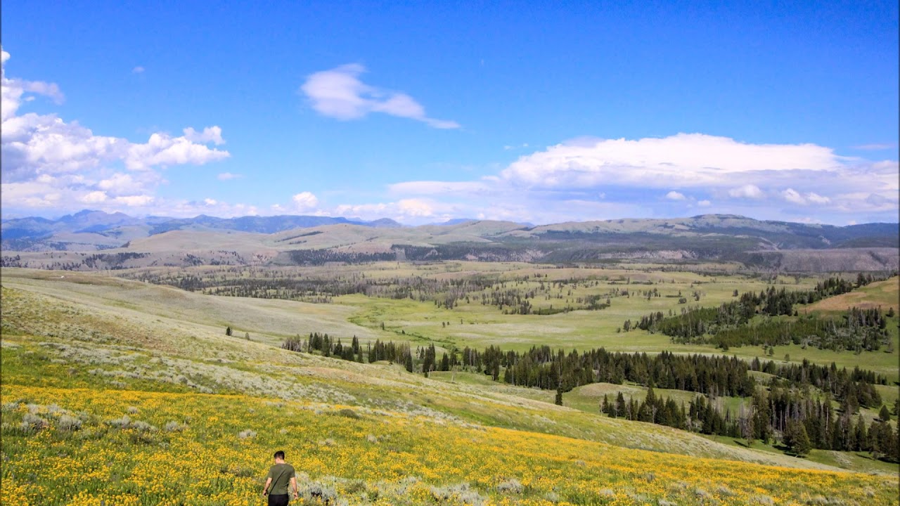 妳 (Instrumental Ver.) - SY - YouTube Music