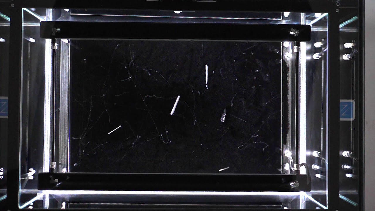 Cloud chamber: Radioactive particles in slow motion - YouTube