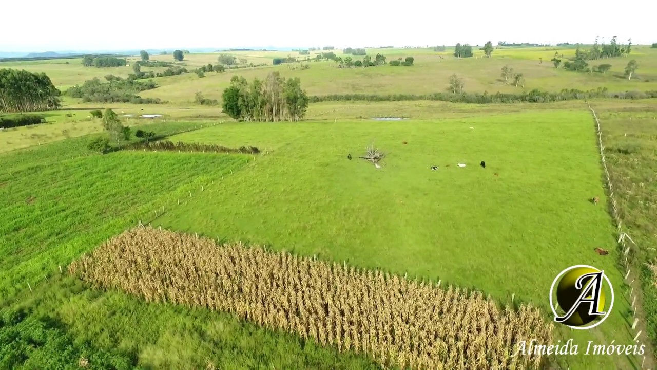 Chácara a venda com 10 hectares em Santa Maria/RS - YouTube