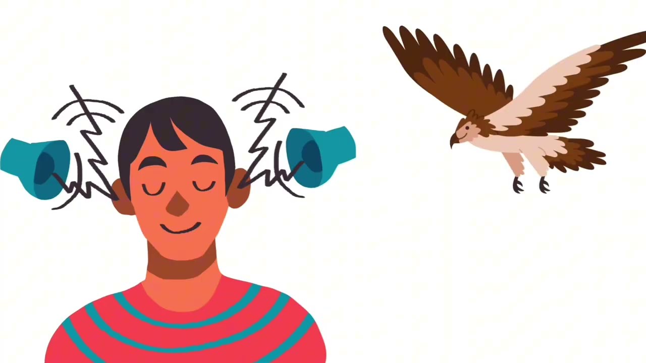 Cute little Animal Sounds - Animals for kids- What sound do you hear ...