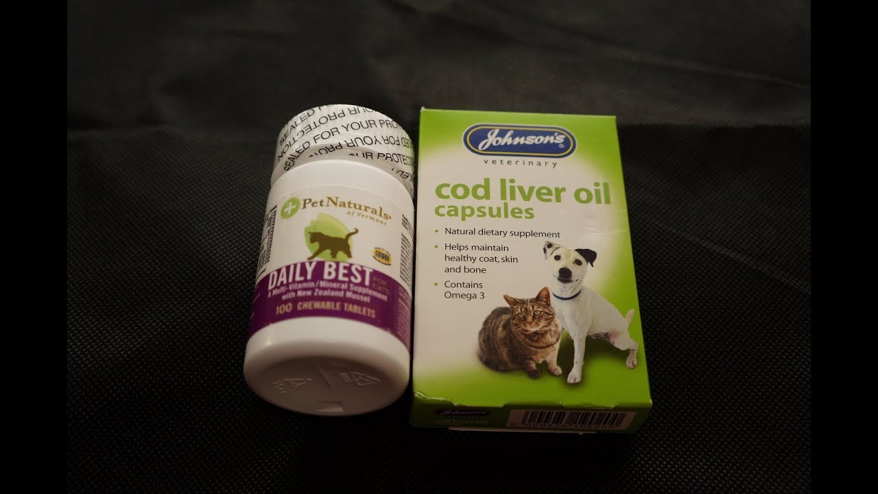 ASMR - Cat Supplement (Pet Naturals, Johnson's Cod liver oil ) - YouTube