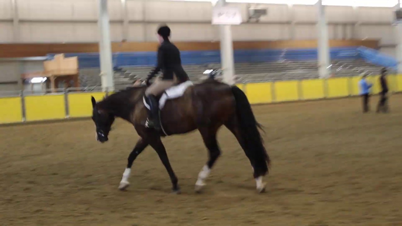 Alex Zone One - YouTube