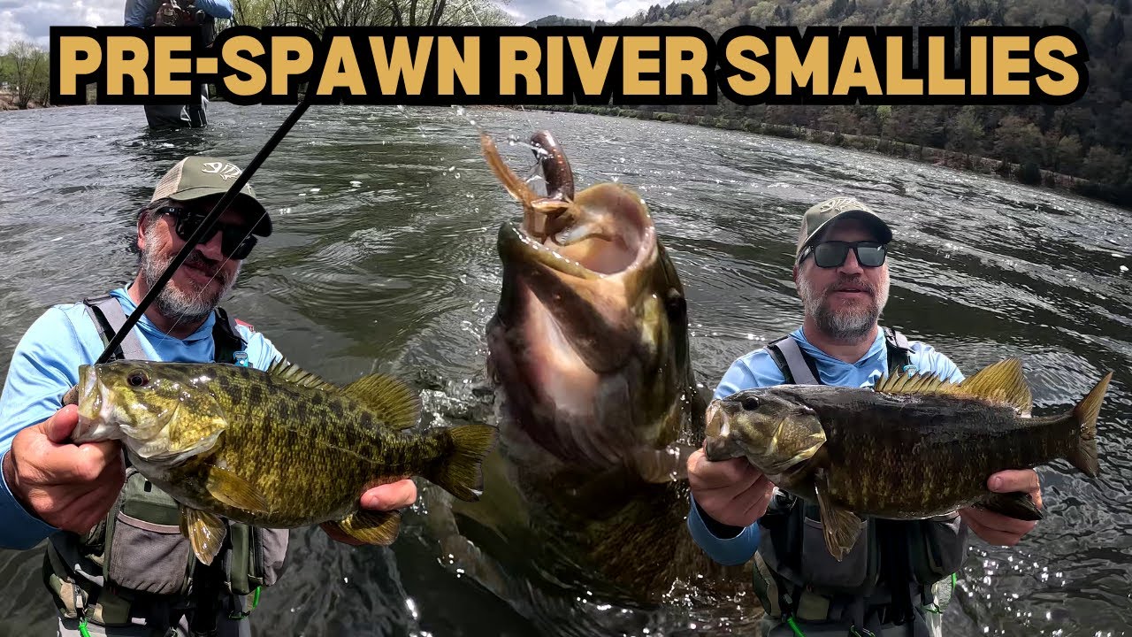 Unbelievable Pre-Spawn Smallmouth Bass Fishing on the River! - YouTube