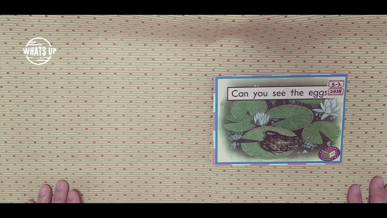 Can you see the eggs ? S2. 2025. #story #storybook #영어공부 #영어책 - YouTube