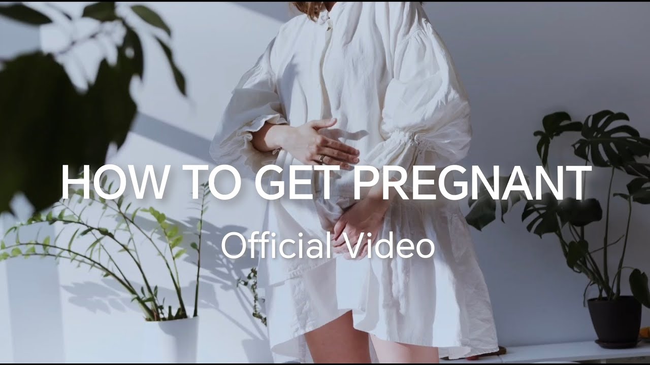HOW TO GET PREGNANT (Official Music Video) - YouTube