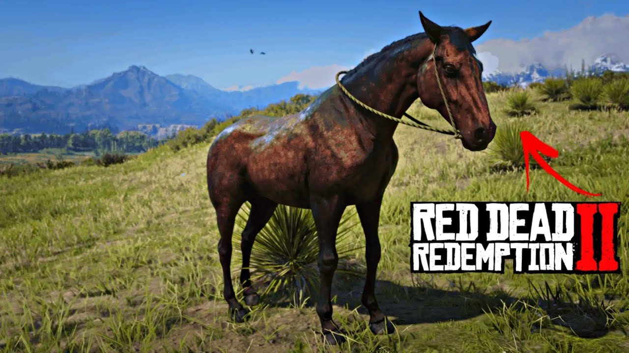 RDR2 - You'll Never Ride All Horses If You Ride This Great Horse :9 ...