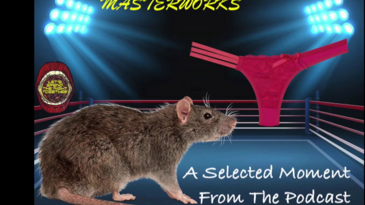 A RING RAT'S TALE - Let's Spend The Night Together PODCAST - YouTube