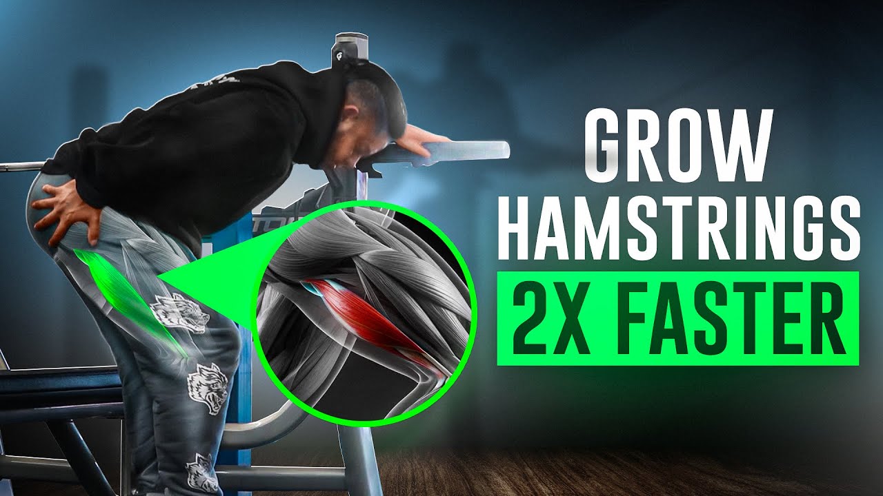 The Ultimate Hamstring Guide: Anatomy, Exercises & Pro Tips | The DreadLifter - YouTube