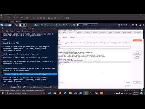 Lab Reflected XSS with some SVG markup allowed - YouTube