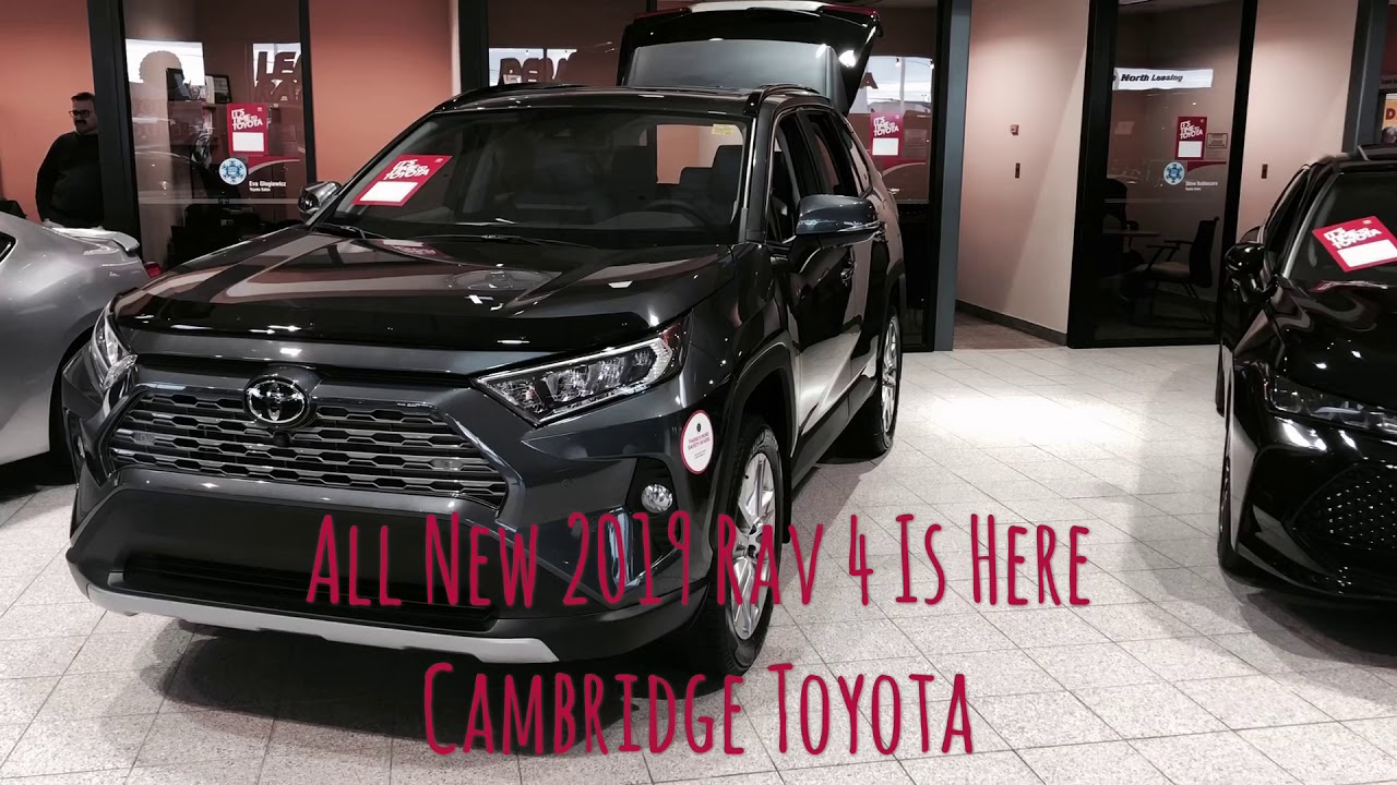 2019 Rav 4 Limited Walk Around - YouTube