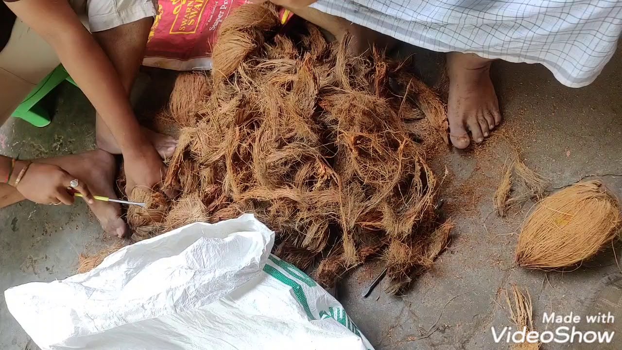 టెంకాయ పీచు తీయడం ఎలా | టెంకాయ ఒలవడం ఎలా | Tenkaya volavadam ela - YouTube