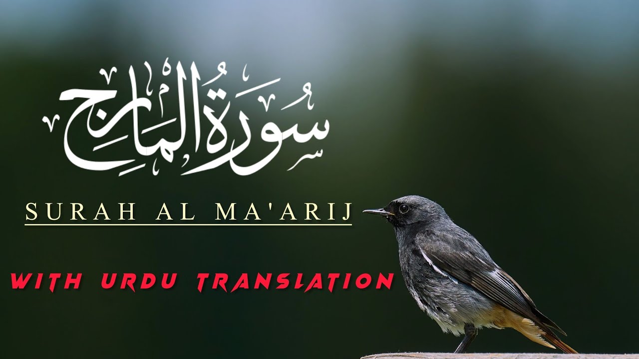 Surah Al-Ma'arij Full: HD Arabic Text [Surah Maarij Translation - YouTube