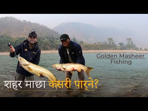 River fishing Nepal/ Golden Masheer Fishing/ Stream water fishing ...