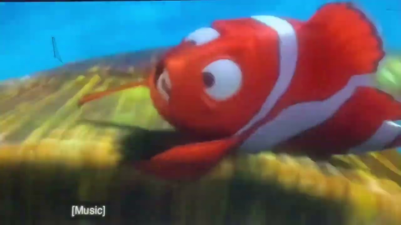 Finding Nemo righteous in Portuguese - YouTube