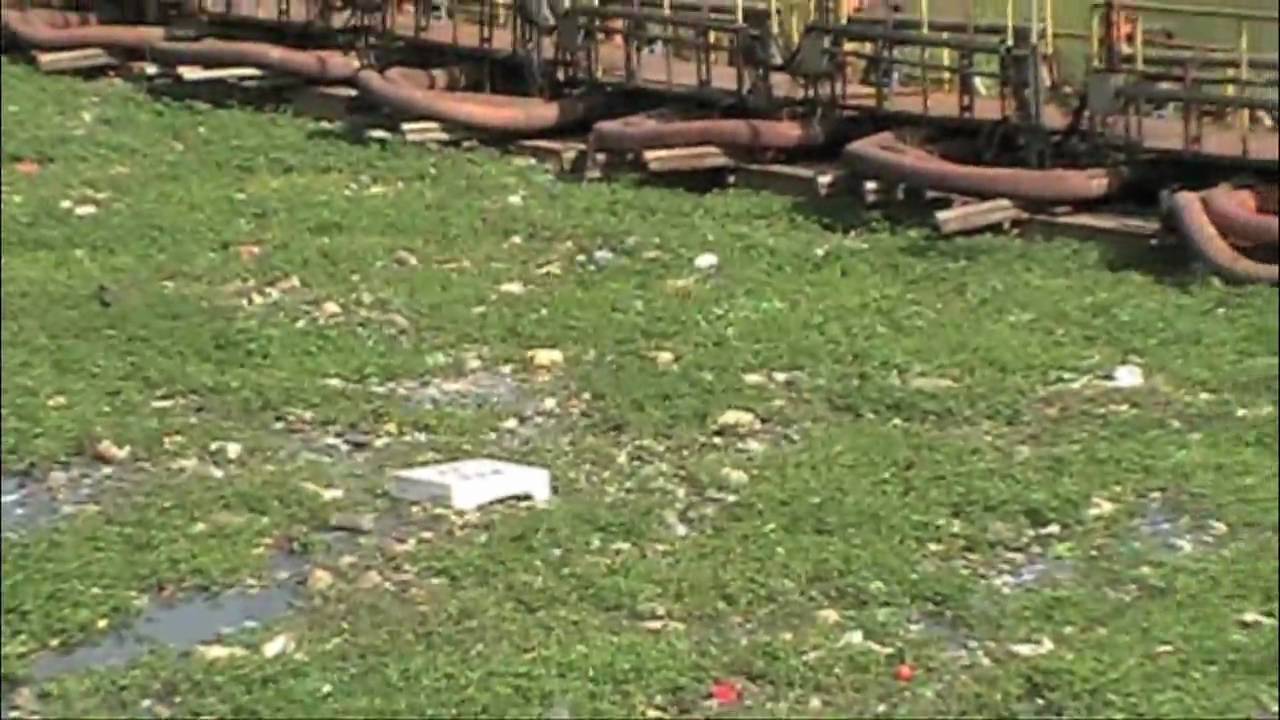 Poo-poo river - YouTube