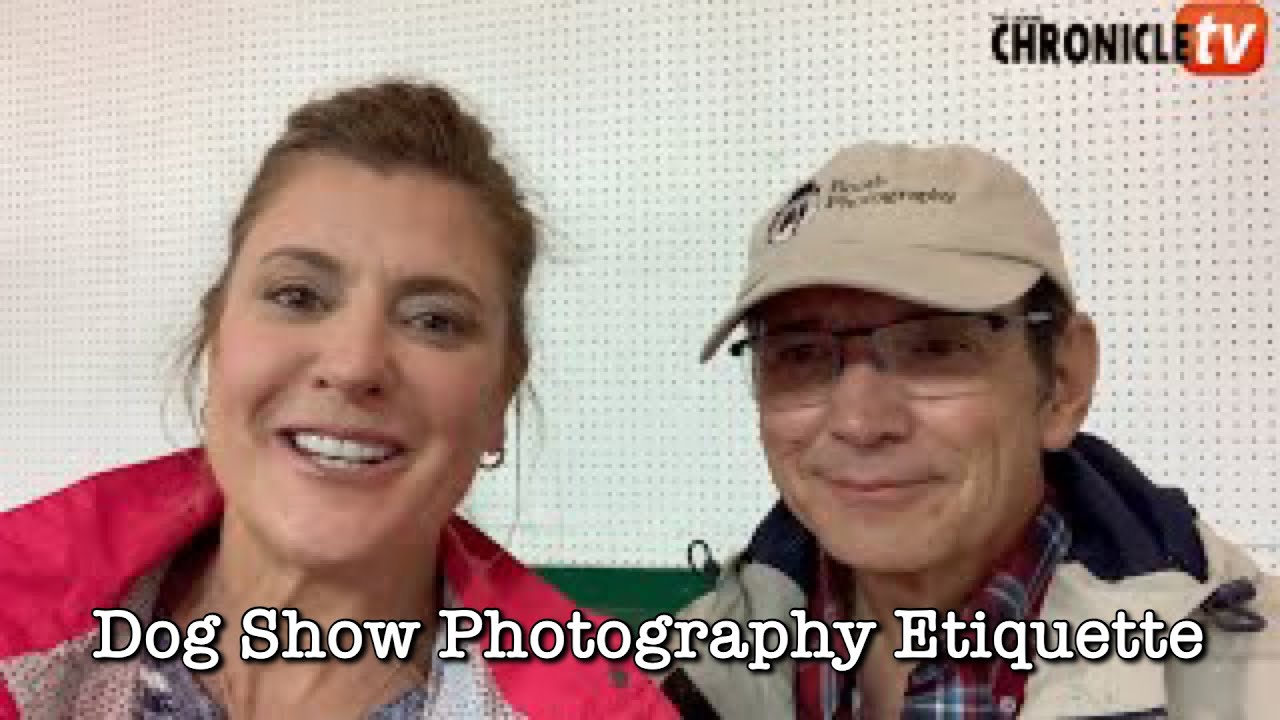 Dog Show Tips & Tricks: Interview with Kim Booth of Booth Photography ...
