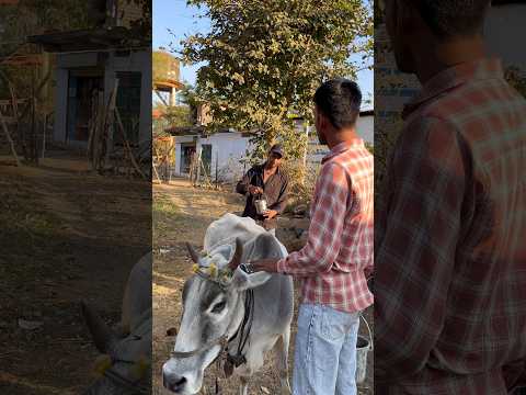 Milk 🍎￼#minivlog #dailyvlog #ashortaday #funny #comedy