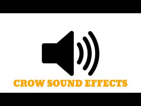 😊CROW SOUND EFFECT !! FUNNY SOUND EFFECTS!! Royal Tiger OP!! #rtop