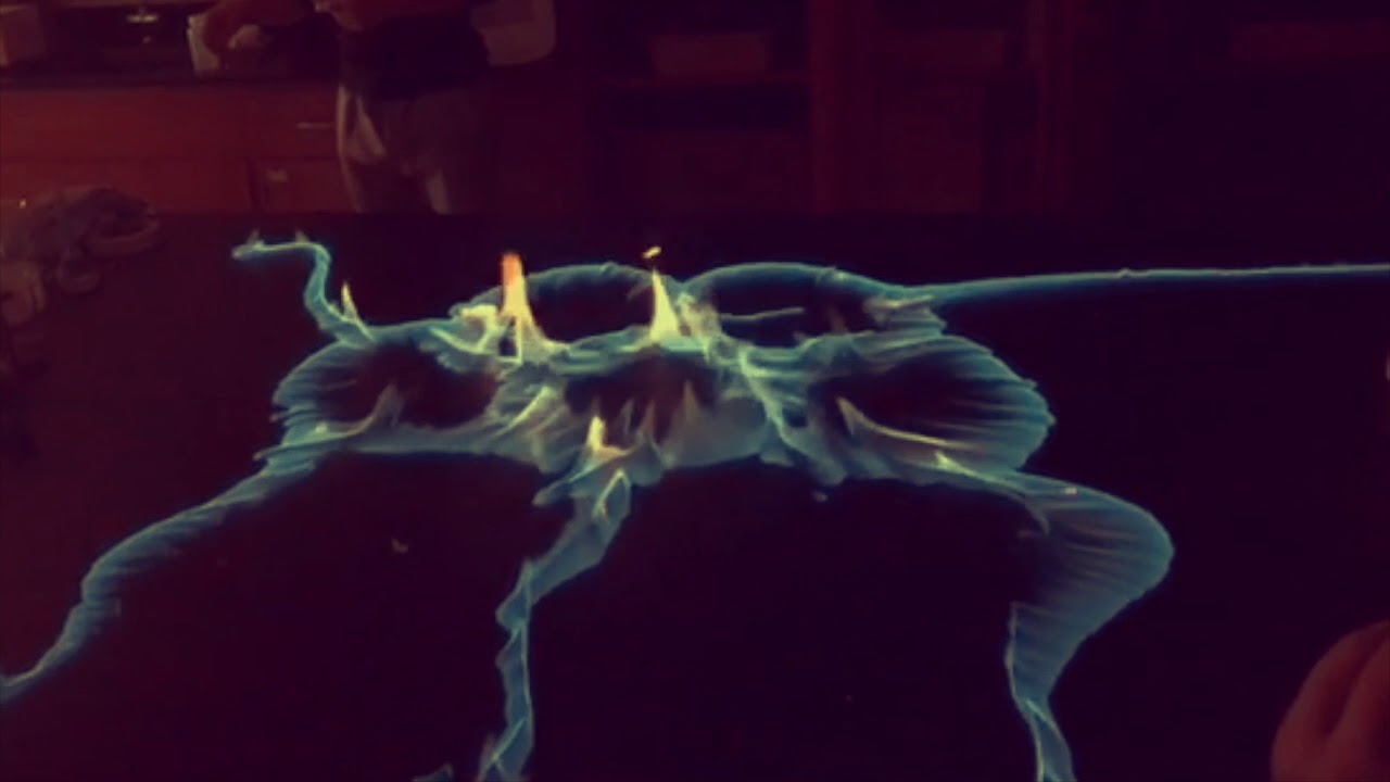 Prada Coffin - Tyler Sorenson - YouTube