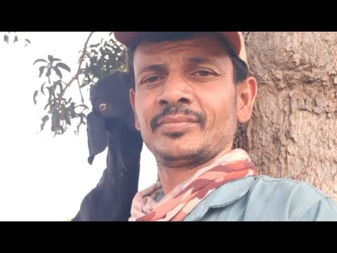 Raj Baba लाइव है! - YouTube