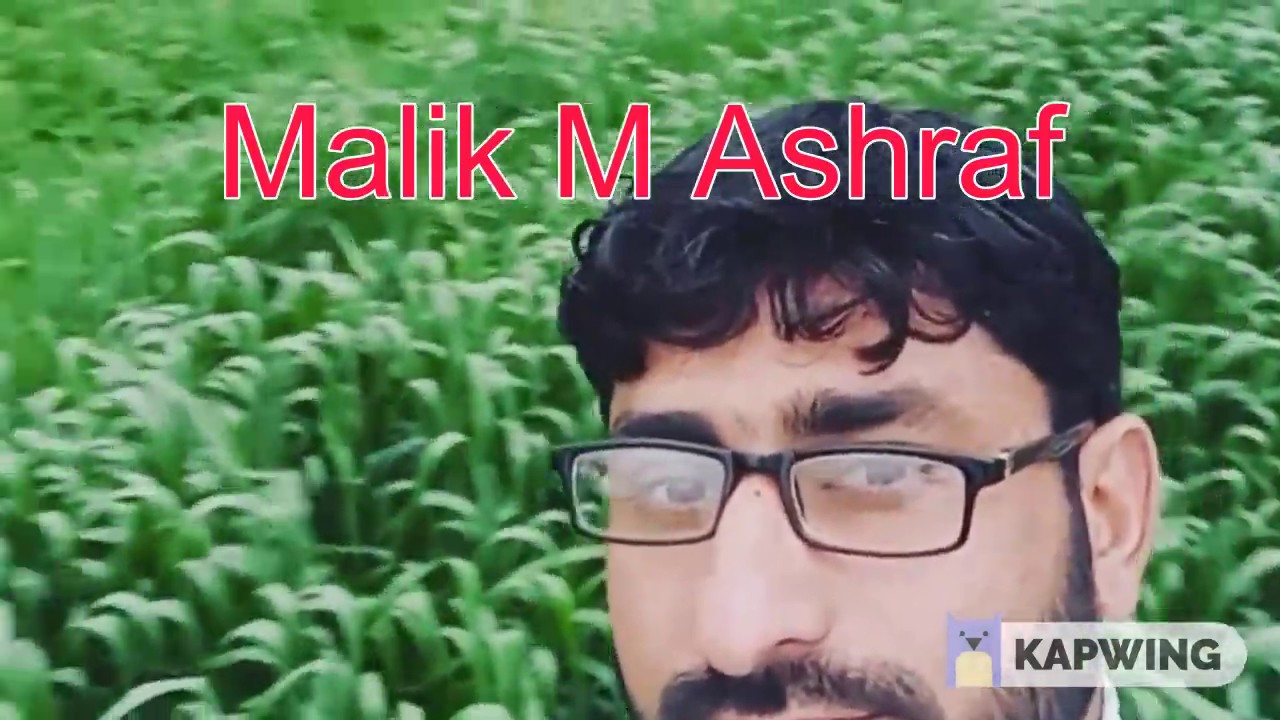 #Subcribe #MalikMAshraf #Youtube Subcribe My Youtube Channel Malik M ...