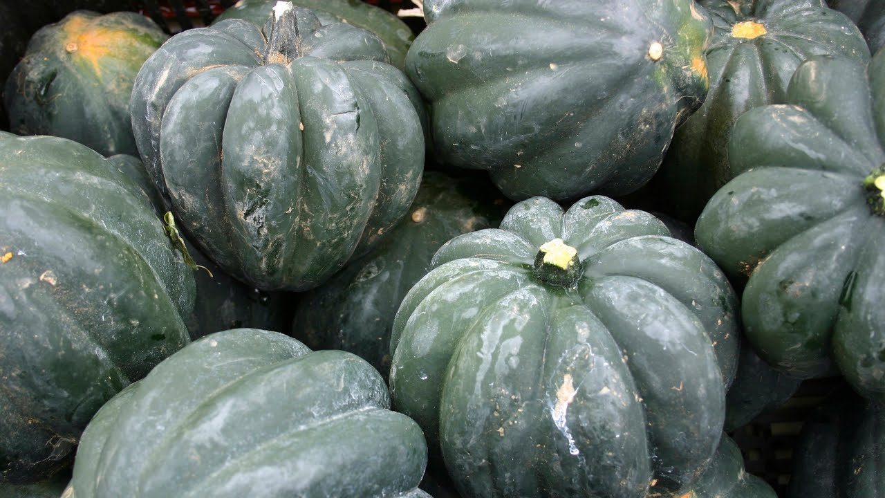 Foods Rich in Fiber - Acorn Squash - YouTube