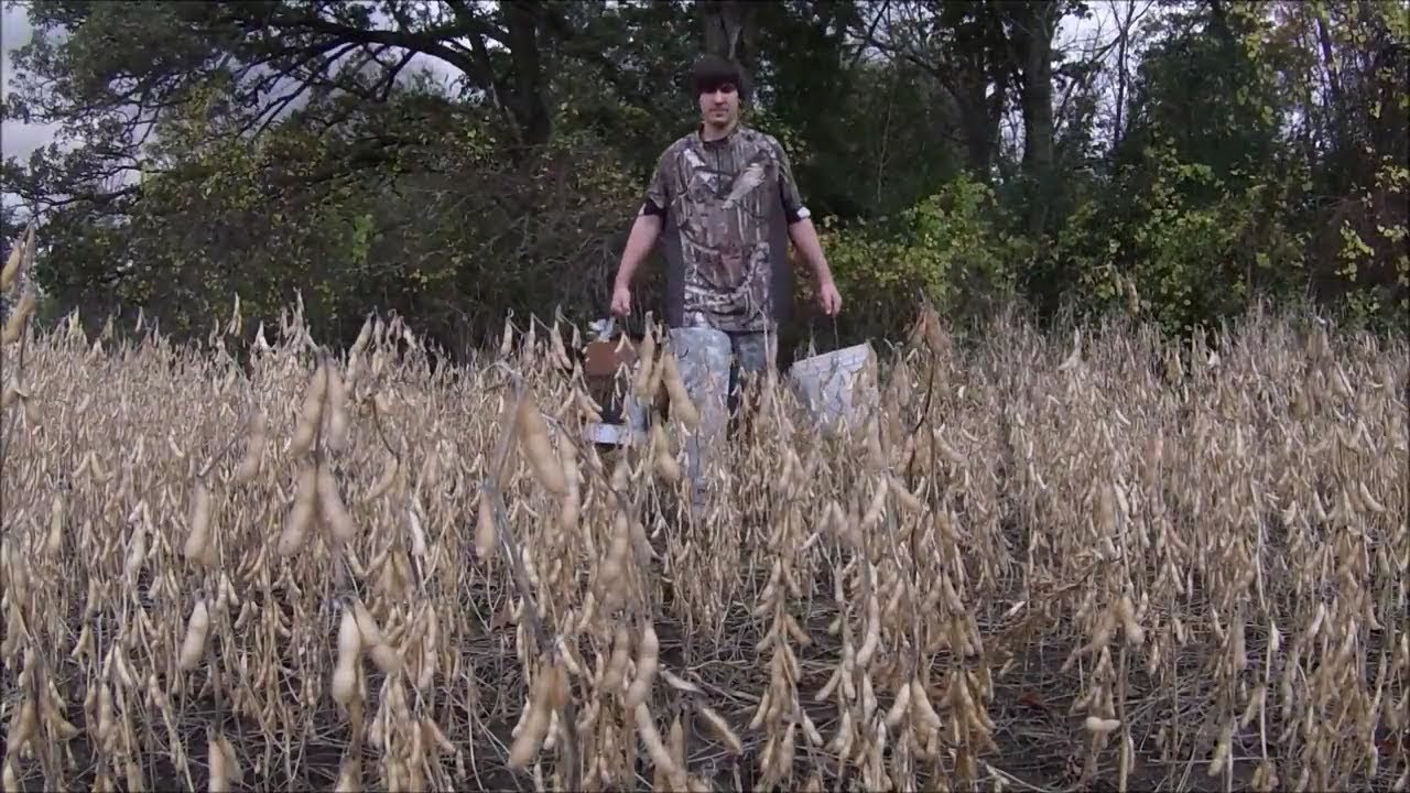 Opening Day: Wisconsin Land Trapping Season - YouTube
