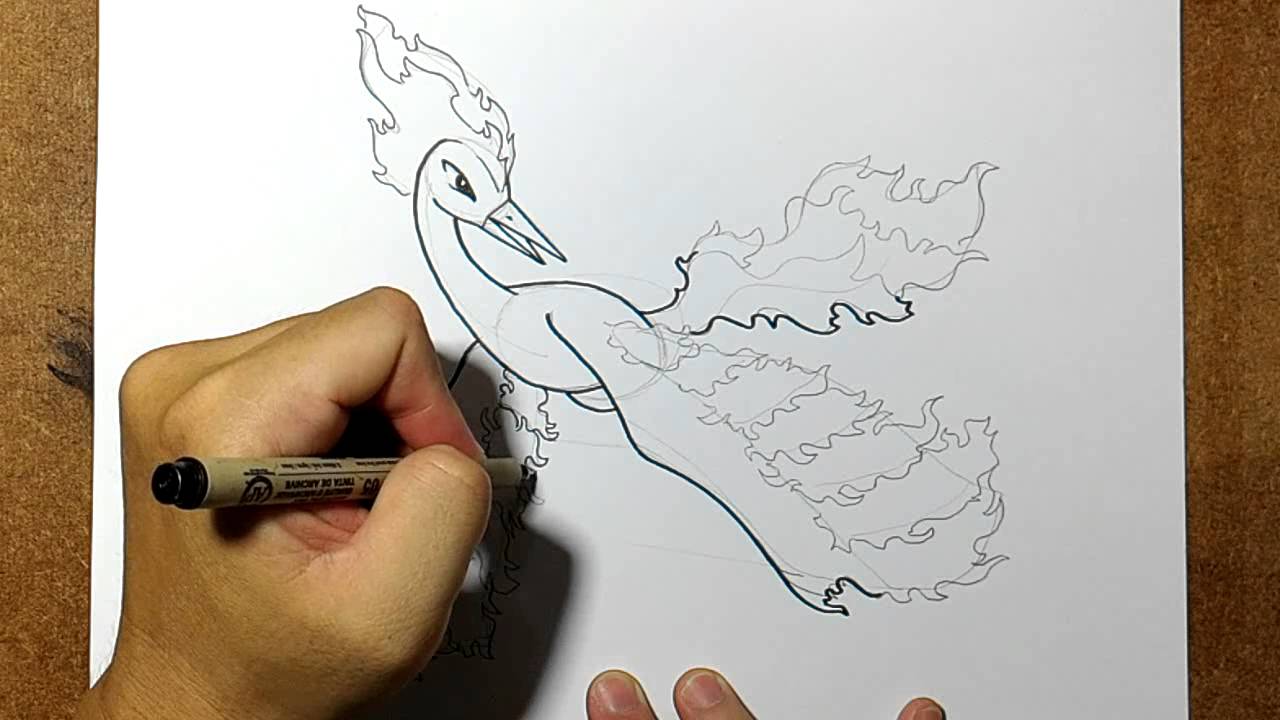 Draw Anime | Fire ไฟเยอร์ (Moltres) จาก โปเกมอน Pokémon GO | Ep 02 ตัด ...