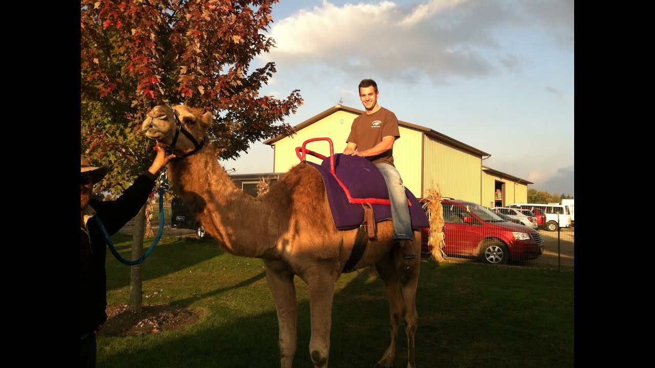 Post Classical Trade Routes 600 1450 Unit 2 Networks of Exchange - YouTube