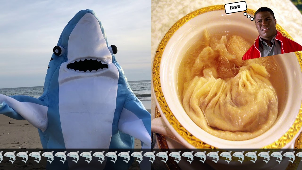 Shark Fin Project - YouTube