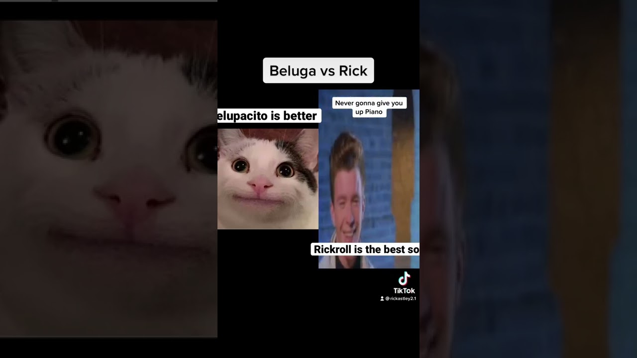 Beluga listening to rickroll - YouTube