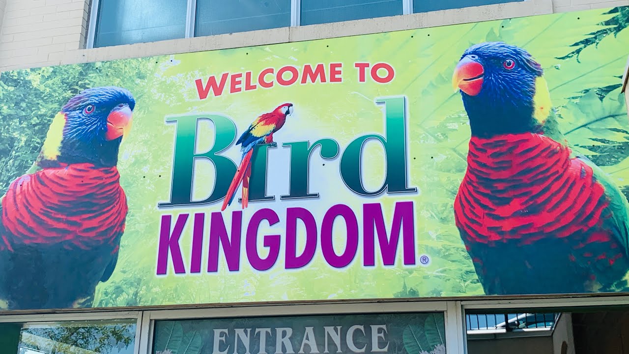 World’s LARGEST Free Flying Indoor Aviary Bird Kingdom Niagara Falls ...