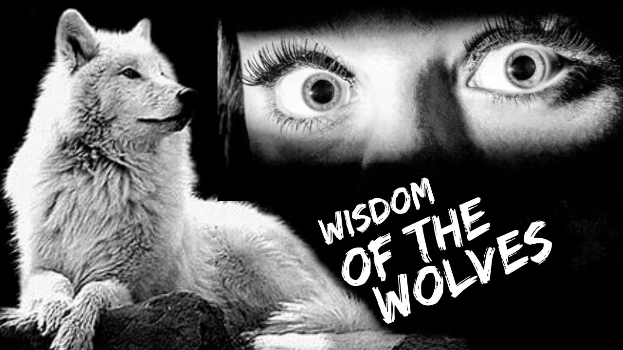 Wisdom Of The Wolves- Best Powerful Motivations Speech -HB Powerful ...