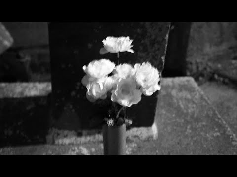 Susan Tamang - Hatarerw Layeko Maya [Official Lyrical Video] - YouTube