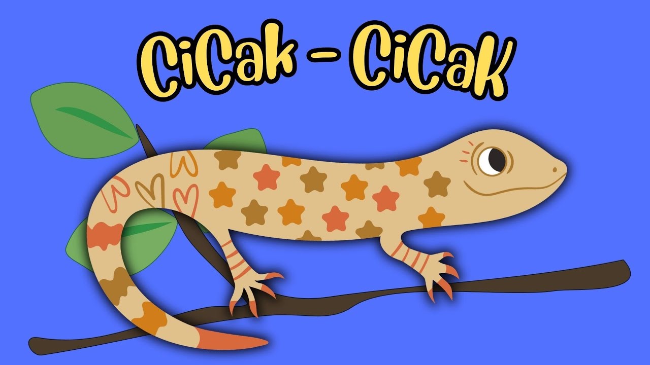 Cicak Cicak di dinding | Lagu Anak Indonesia | Kids Song | Lagu Anak ...