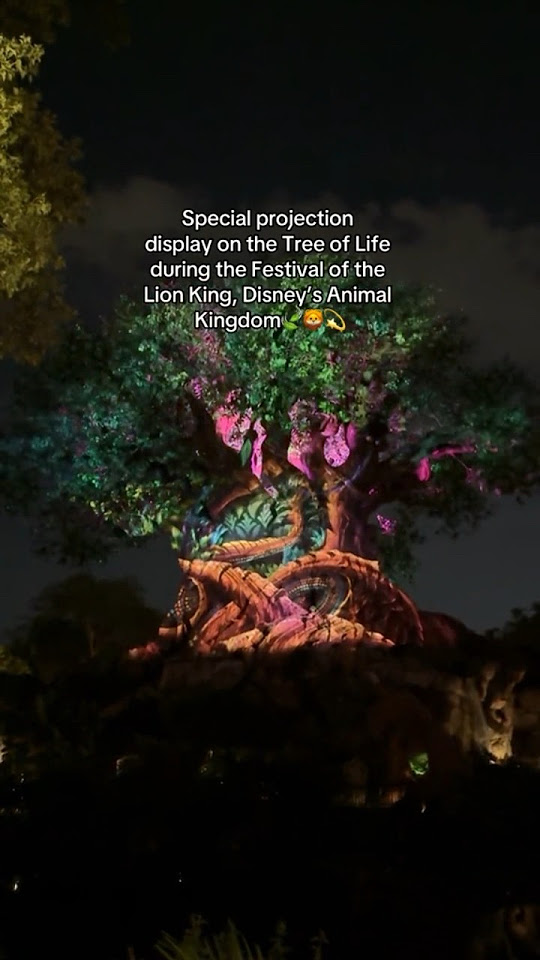 Special projections on the Tree of Life🍃Disney’s Animal Kingdom #disney ...