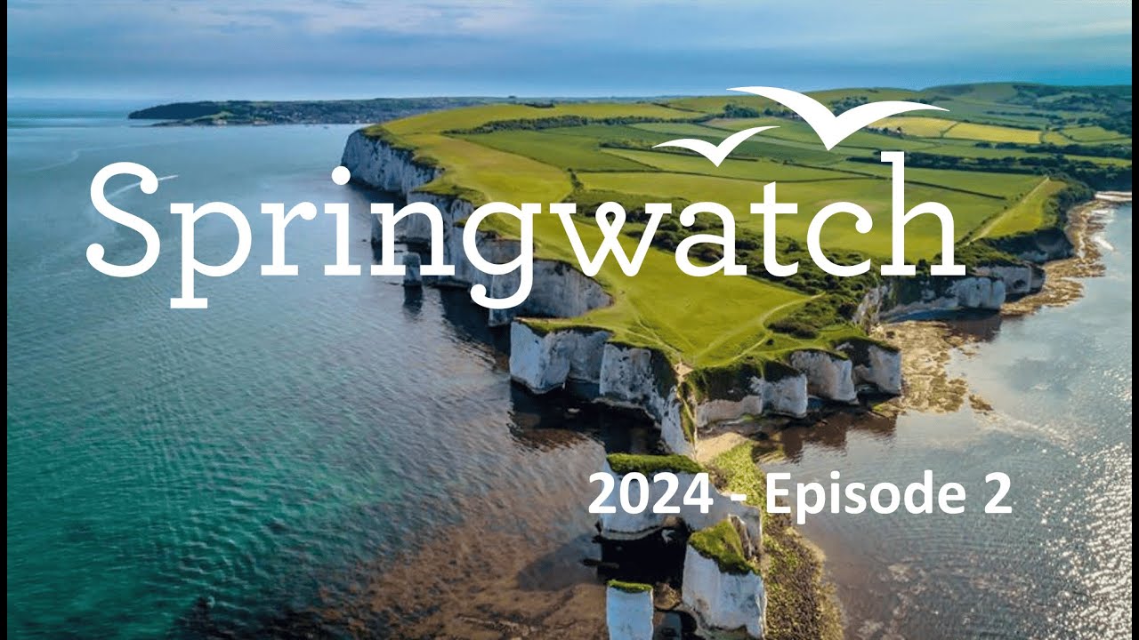 Springwatch 2024 Episode 2 - YouTube