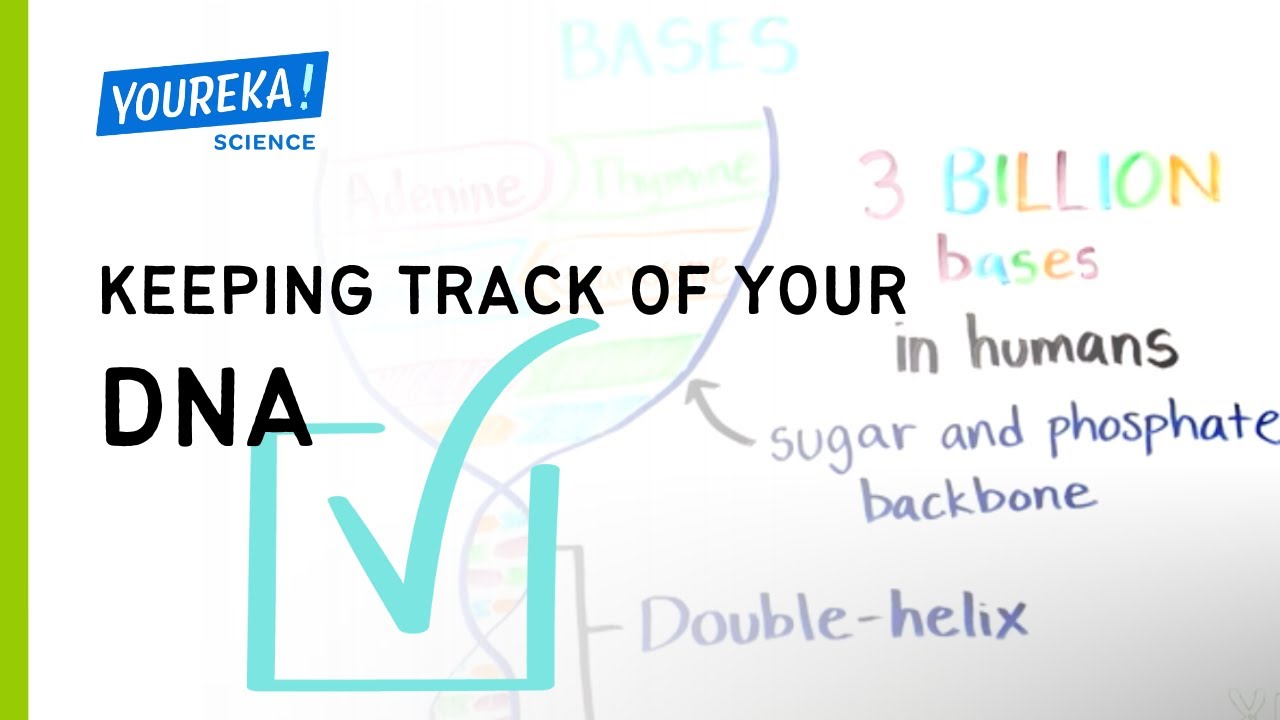 Keeping Track of Your DNA - YouTube