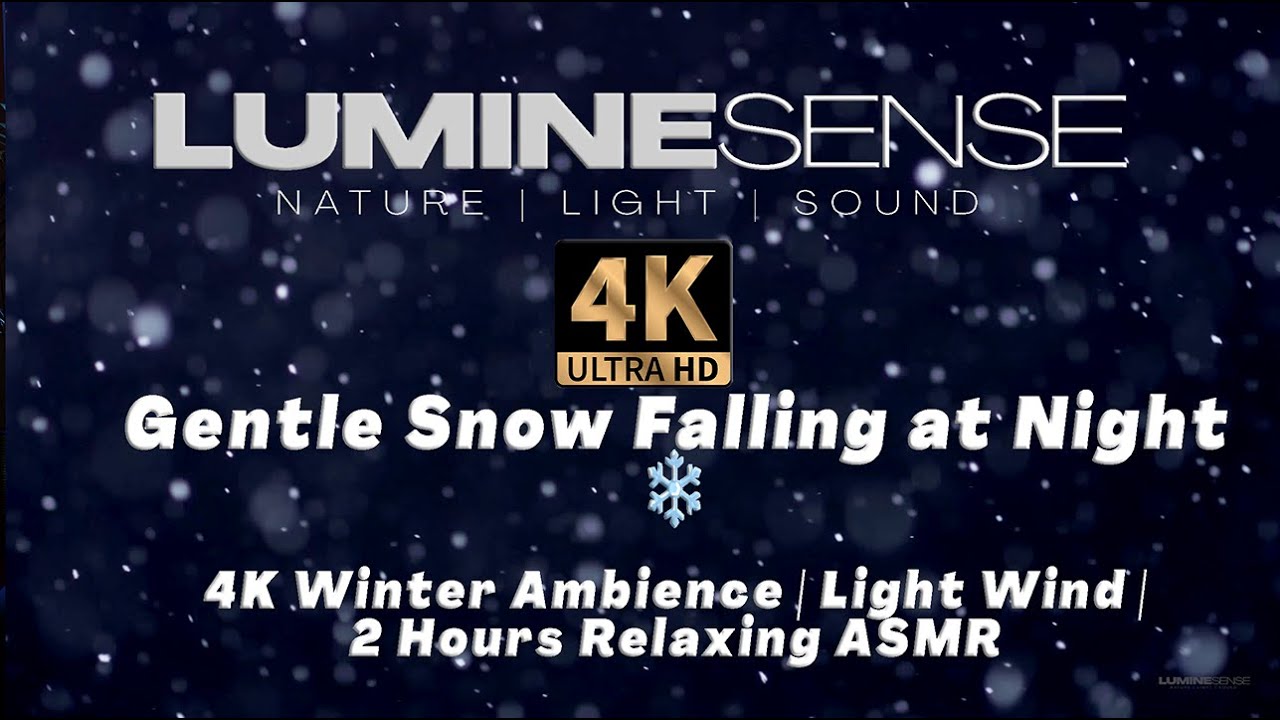 Gentle Snow Falling at Night ️ 4K Winter Ambience & Light Wind | 2 ...
