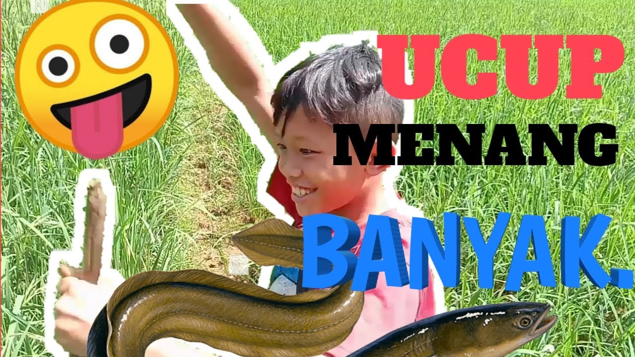 Viral 😂 Ucup sang petualang mancing belut menang banyak - YouTube
